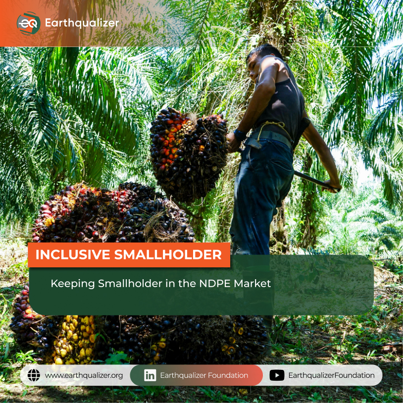 Keeping Smallholder in the NDPE Market | Earthqualizer