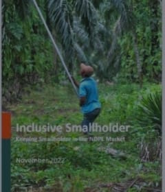 Keeping Smallholder in the NDPE Market | Earthqualizer